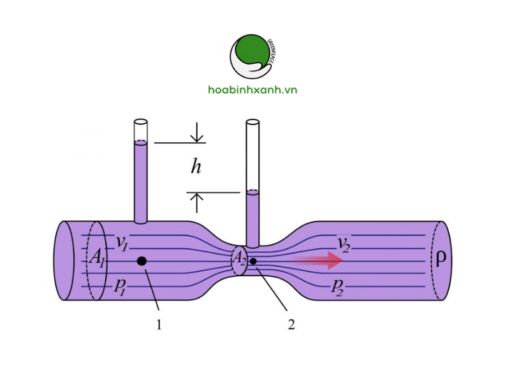 Xử lý bụi bằng thiết bị Ventury 2022- Công ty Hòa Bình Xanh